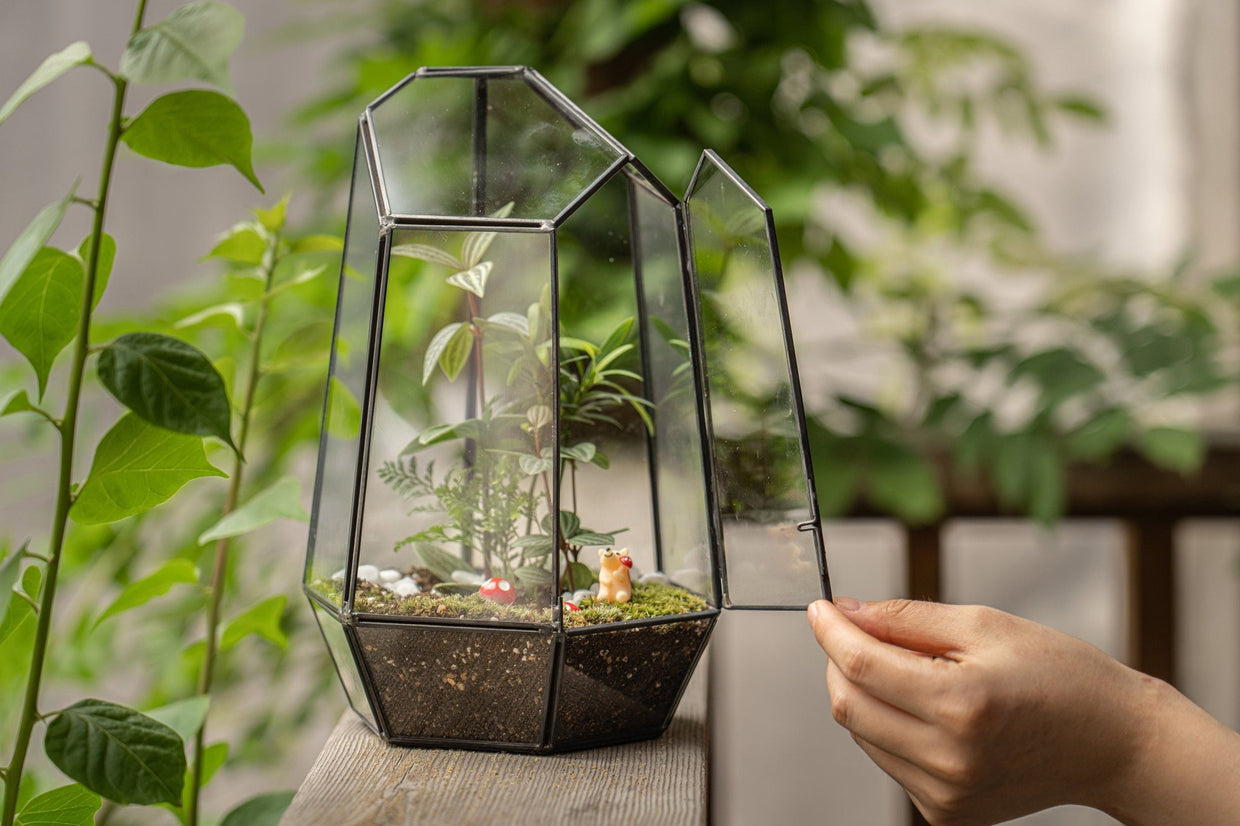 How to make a closed terrarium | Ultimate Guide for Beginners